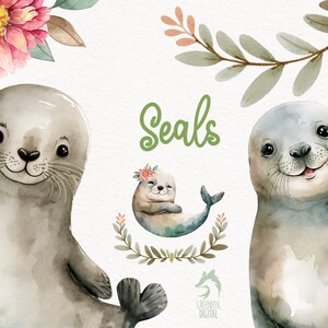 Seal Watercolor Clipart, Cute Baby Shower Graphics, Nursery Decor Wall ...