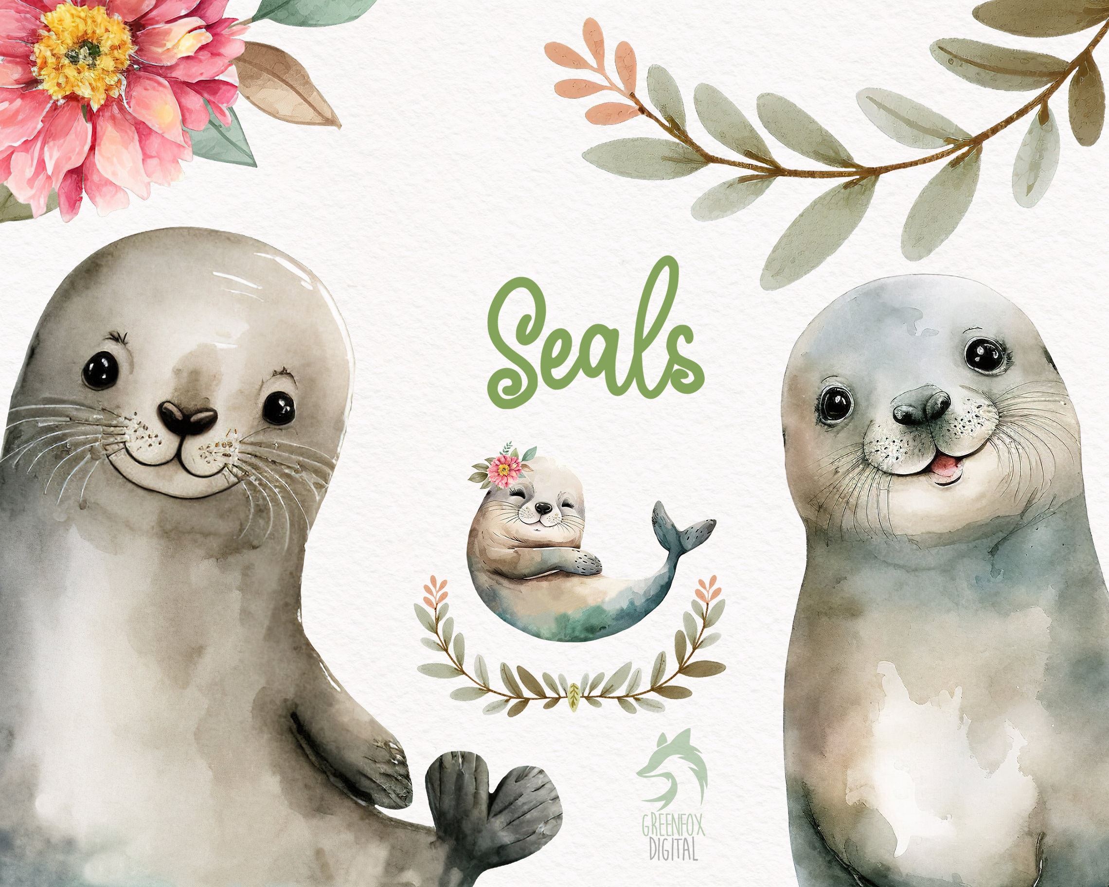 Seehunde Clipart Of Flowers