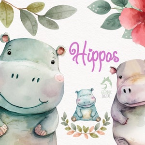 Hippo Watercolor Clipart, Cute Baby Shower Graphics, Hippopotamus ...