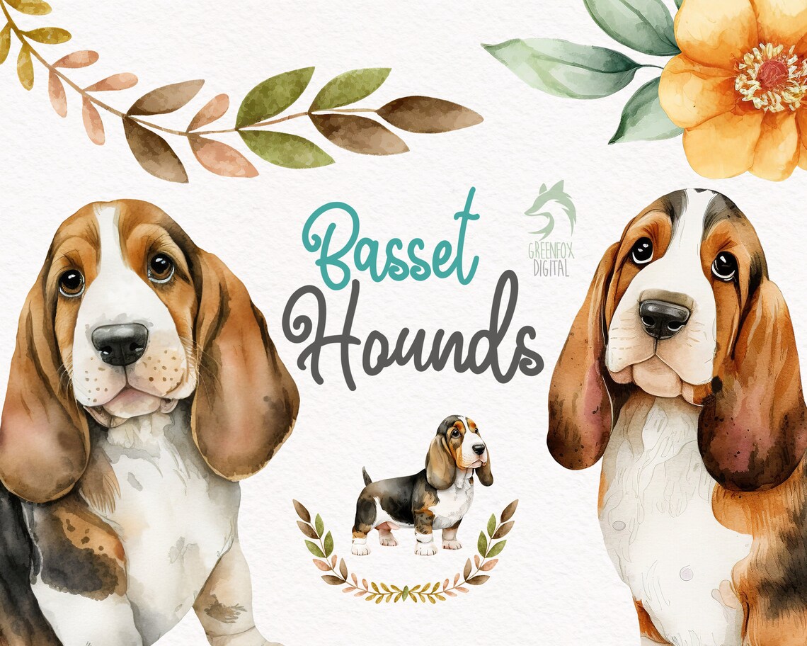 Basset Hound Watercolor Clipart Cute Dog Nursery Decor Wall - Etsy