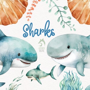 Shark Watercolor Clipart, Cute Baby Shower Graphics, Nursery Decor Wall ...