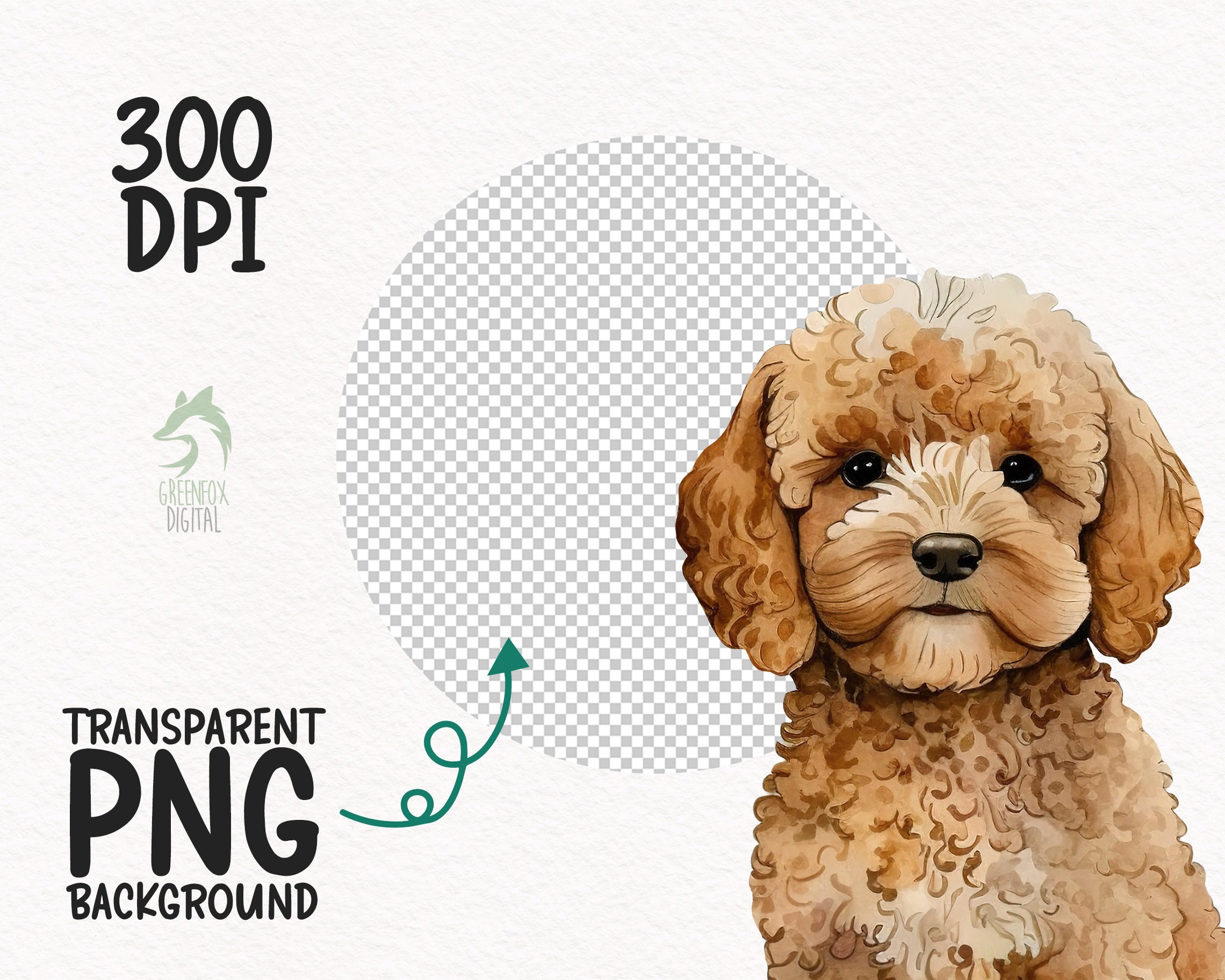 Cockapoo Watercolor Clipart Cute Dog Nursery Decor Wall Art - Etsy