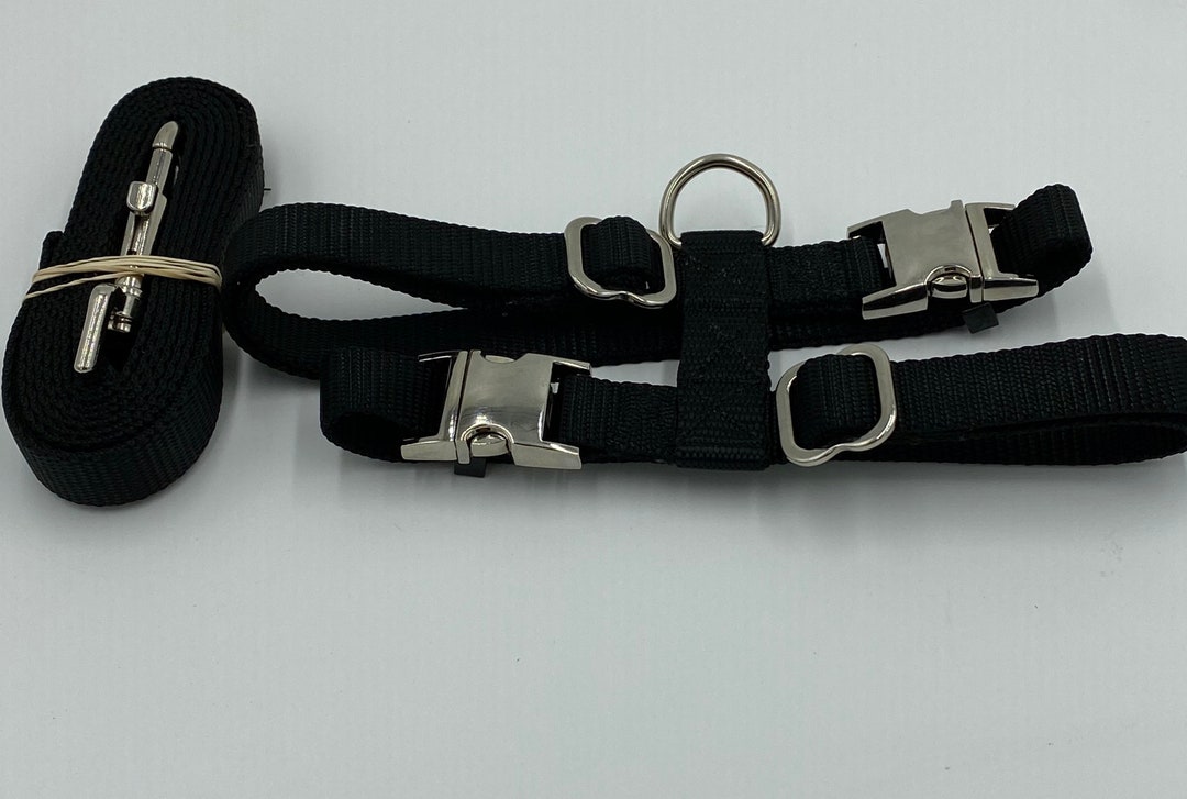New Style Pig/hog Harness Short Backstrap USA Handmade With Leash Go ...