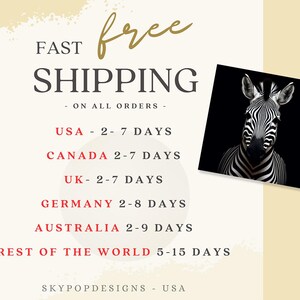 Zebra Symmetry Art, Canvas or Poster, Contemporary Minimalist Decor ...