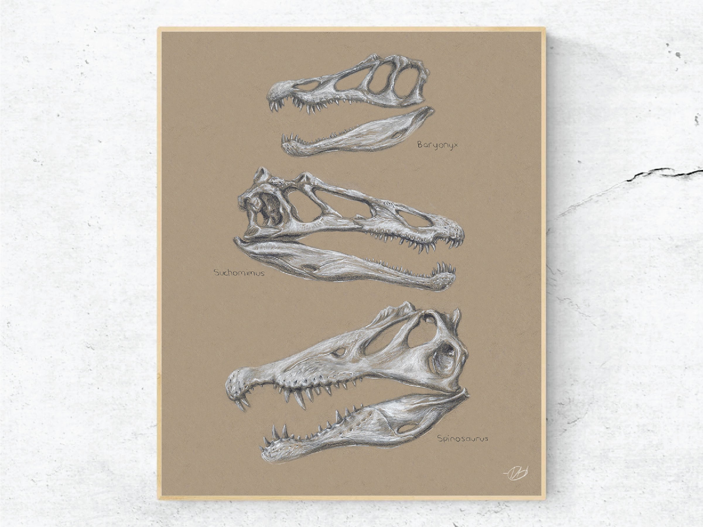 Spinosaur Skulls Charcoal Drawing, Fossil Drawing, Dinosaur Wall Art ...