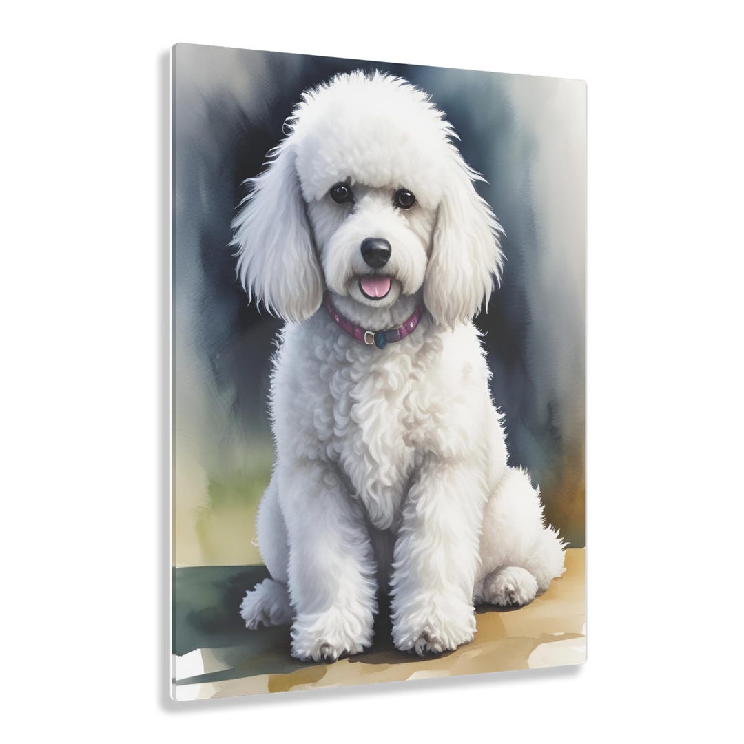 Acrylic Wall Art, Sitting White Poodle, Unique Wall Decor for Office ...