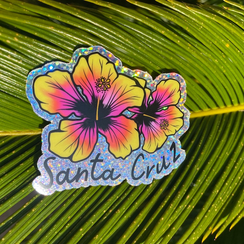 Santa Cruz Stickers - Etsy