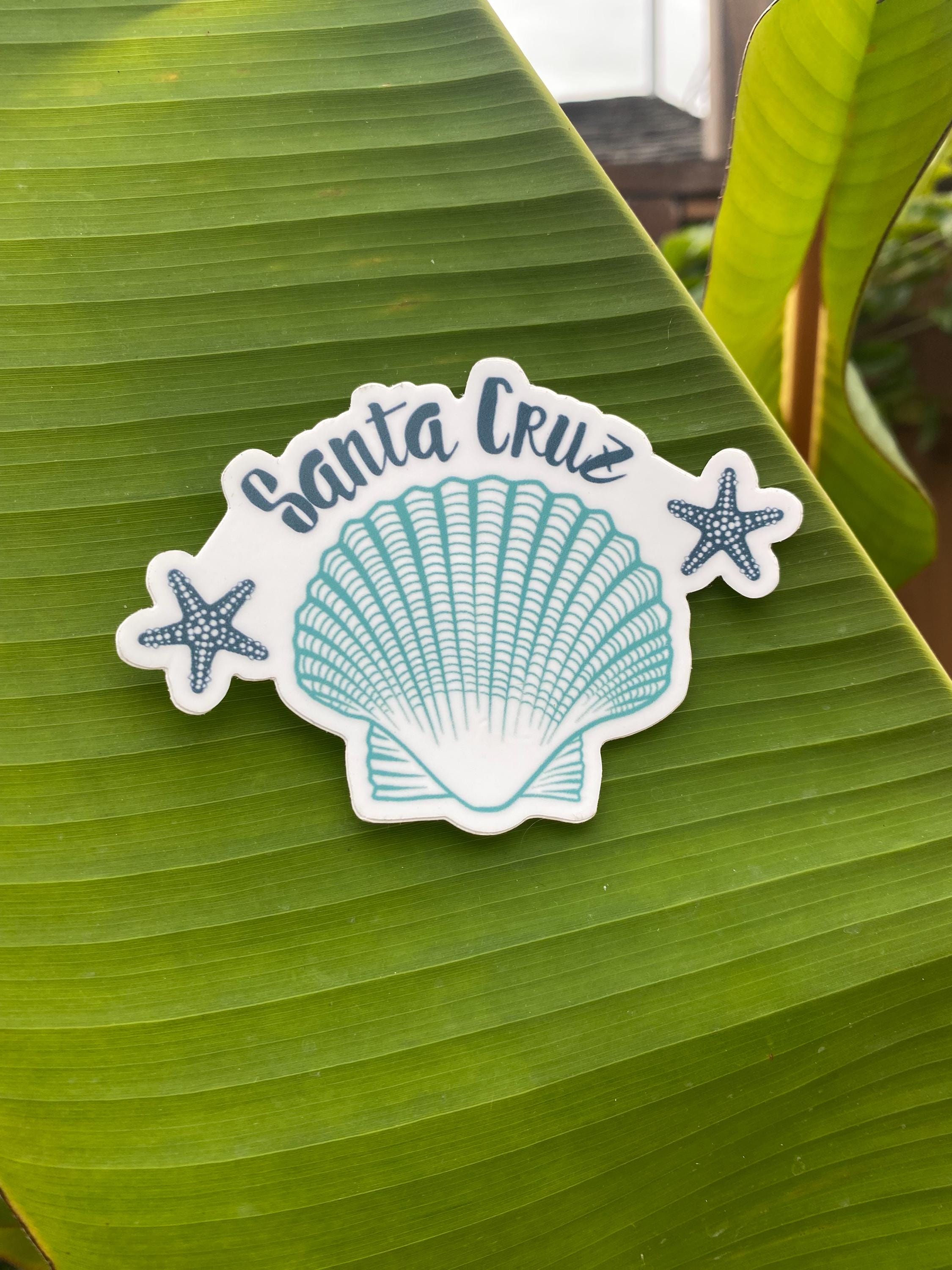 Shell Sticker | Ocean Shell Sticker | Beach Sticker | Santa Cruz ...