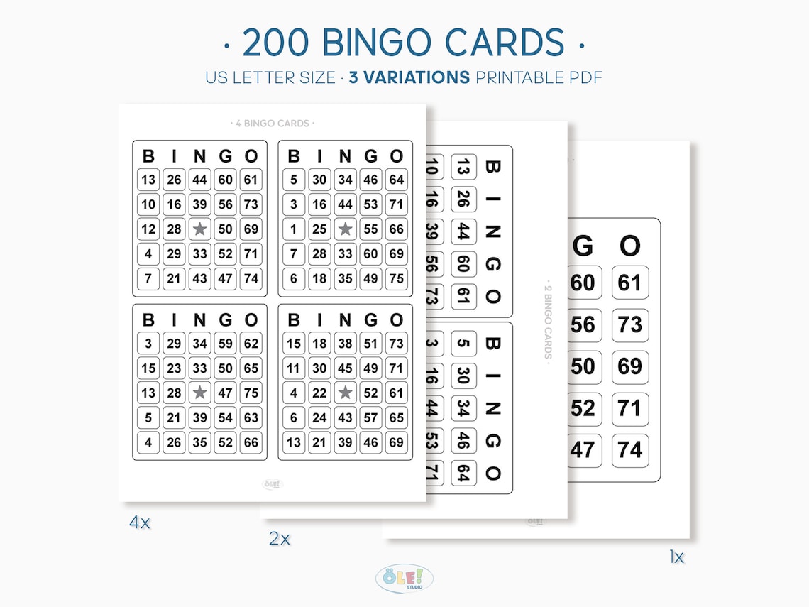 200 Bingo Cards | Digital Download Printable PDF | Fun Party Bingo Game ...