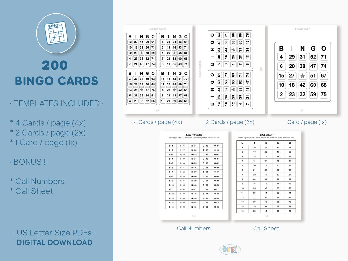 200 Bingo Cards Digital Download Printable PDF Fun Party Bingo Game US ...