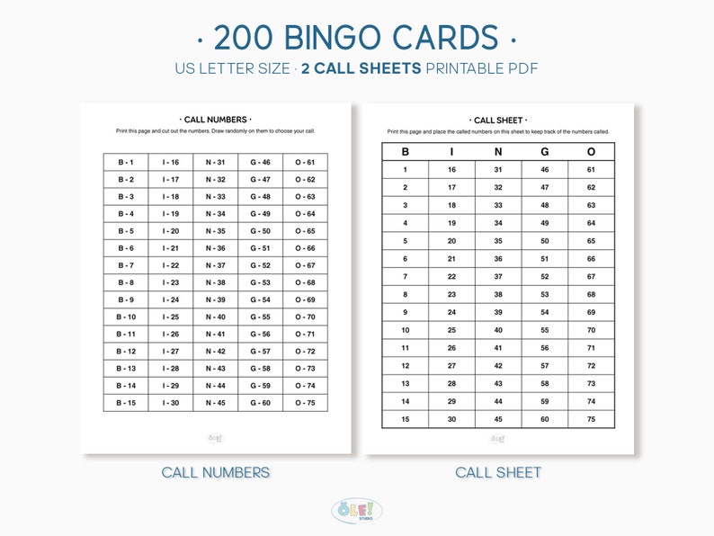 200 Bingo Cards | Digital Download Printable PDF | Fun Party Bingo Game ...