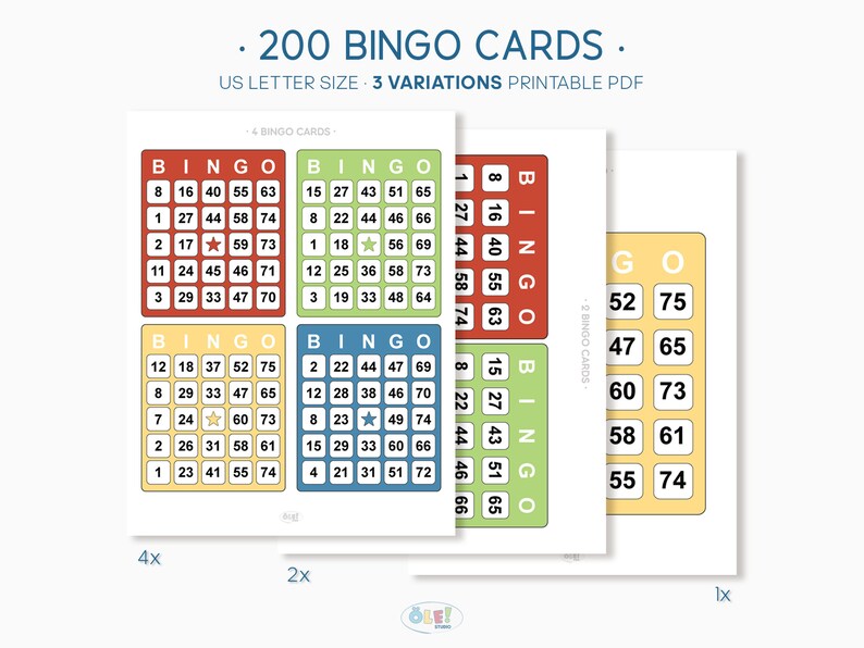 200 Bingo Cards | Digital Download Printable PDF | Fun Party Bingo Game ...
