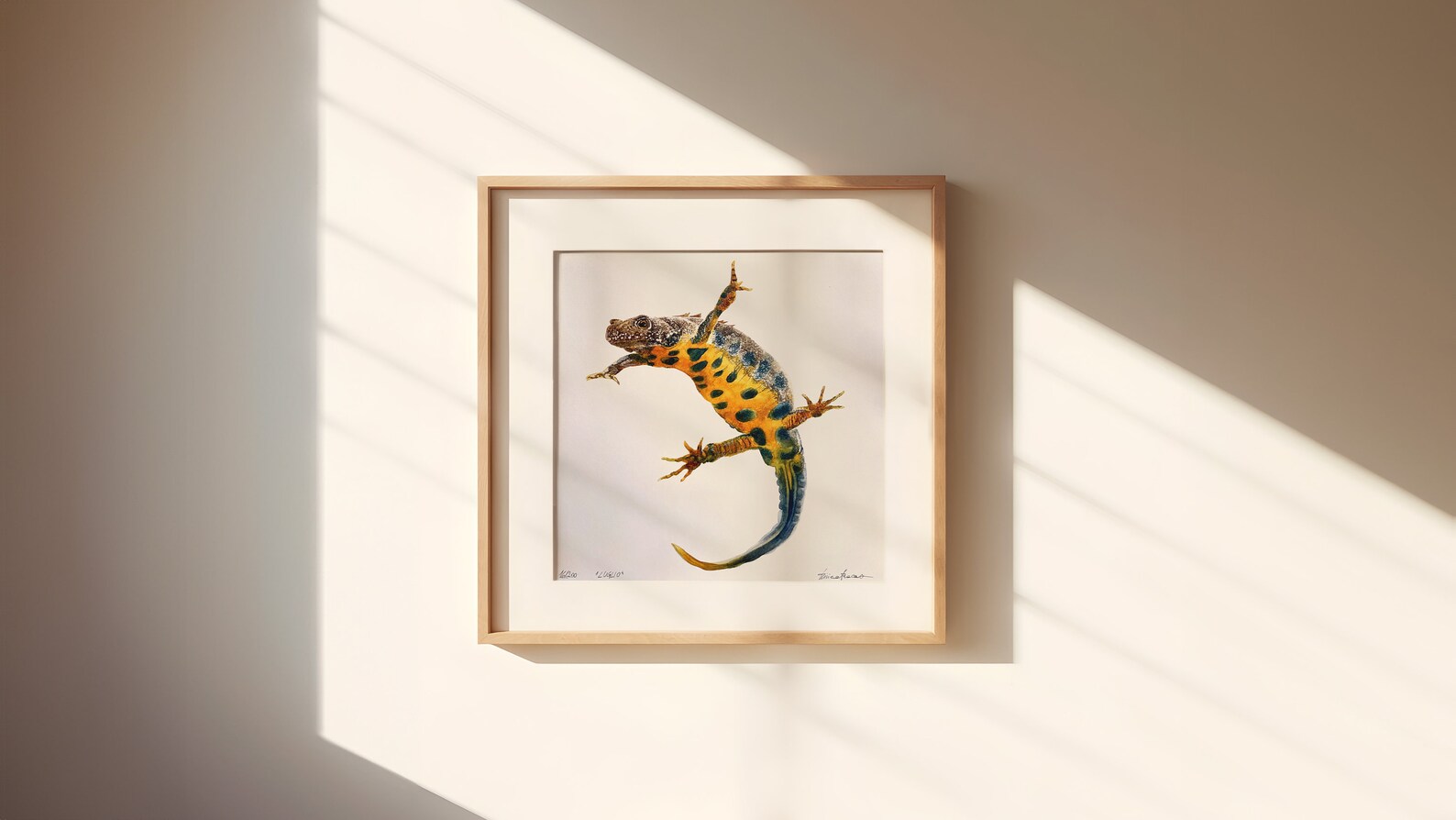Limited Edition Art Print – Italian Crested Newt, Watercolor by Tiziano ...