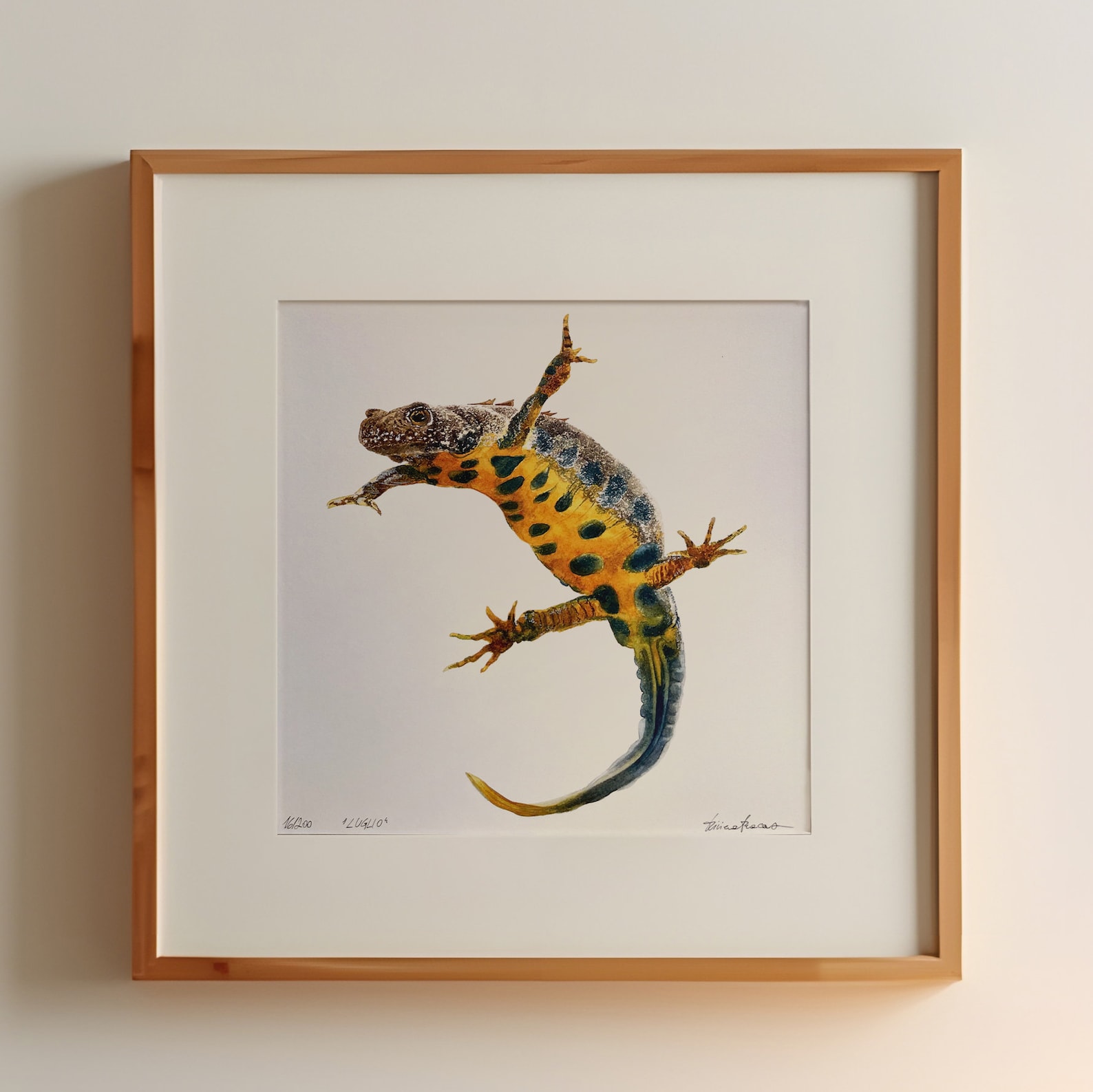 Limited Edition Art Print – Italian Crested Newt, Watercolor by Tiziano ...