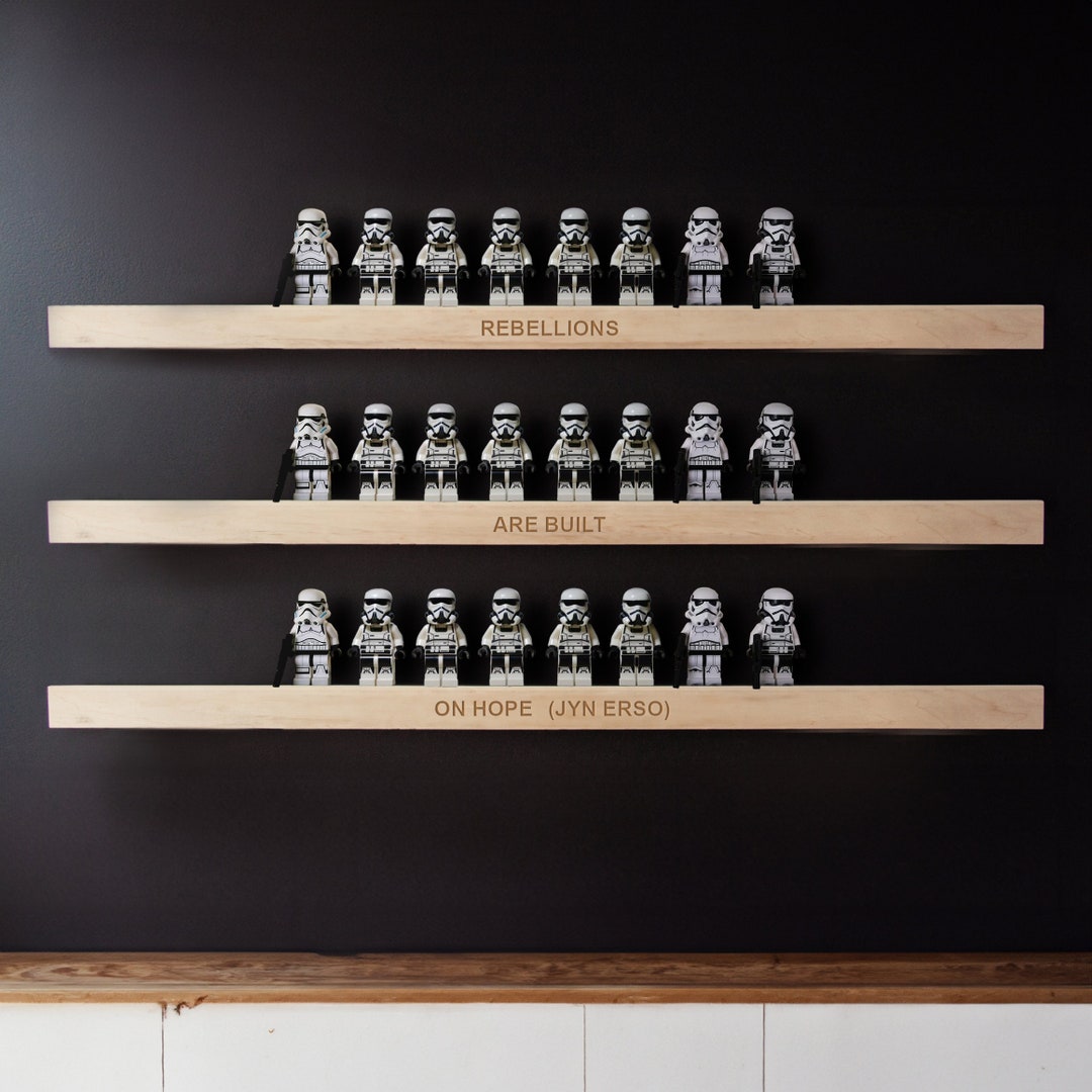 Minifigure Display Wall, Minifigure Shelf, Minifigure Holder for Wall ...
