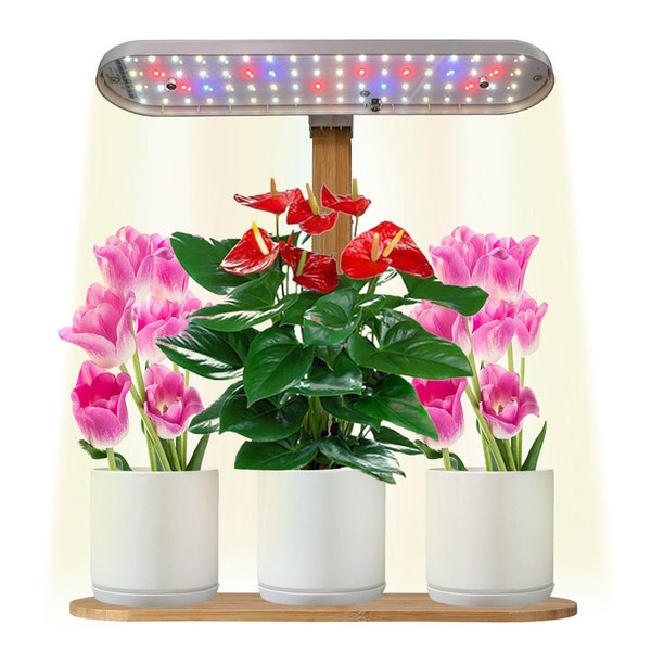 Hydroponics With Lights - Etsy