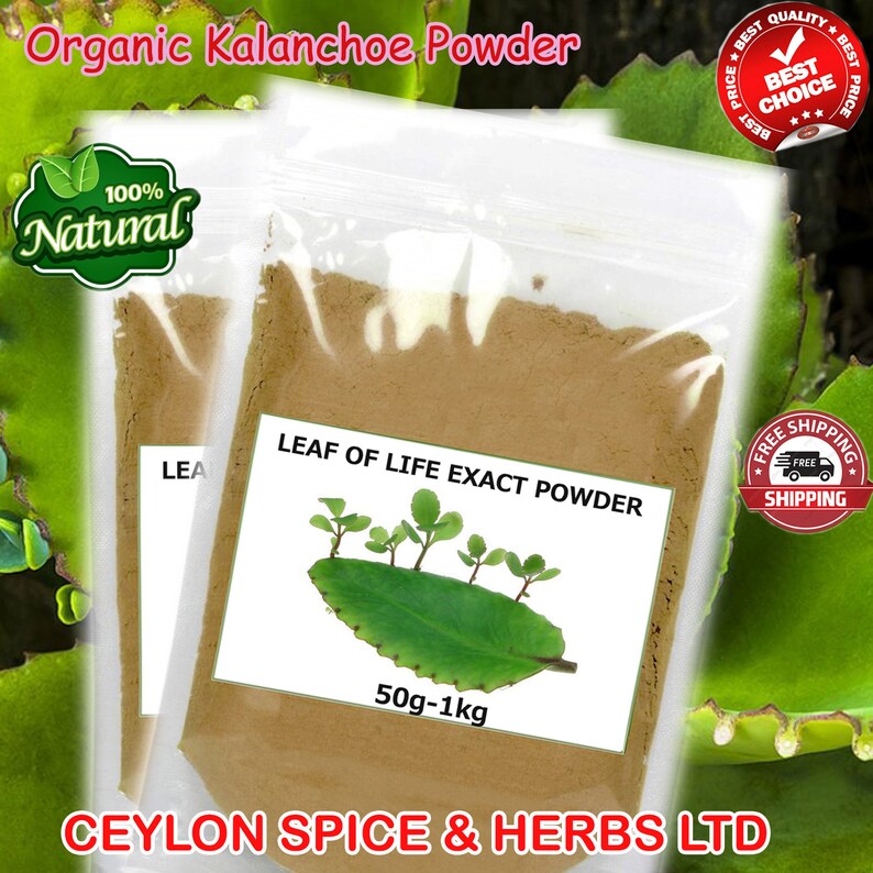 Leaf of Life Powder Kalanchoe Pinnata Powder Miracle Leaf - Etsy
