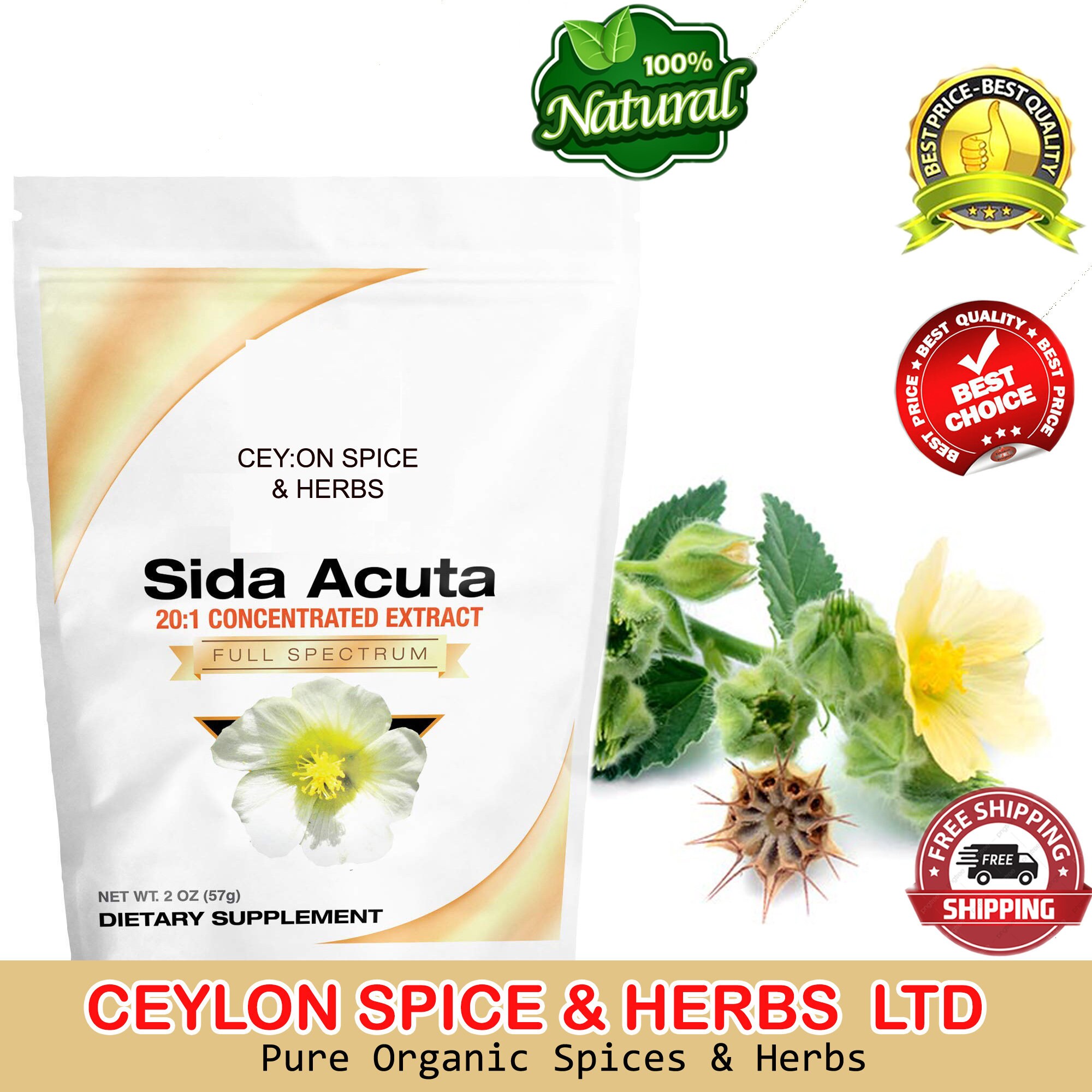 Sida Acuta freshly Air Dry to Order Dried Leaves Sida - Etsy