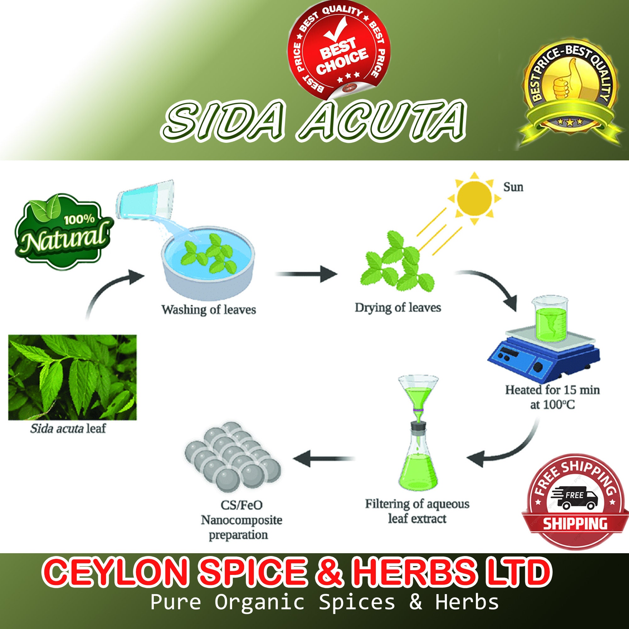 Sida Acuta freshly Air Dry to Order Dried Leaves Sida - Etsy Australia
