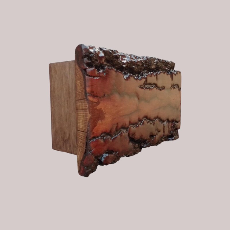 Live Edge Lighting - Etsy