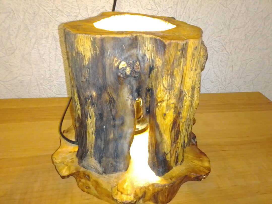Driftwood Lamp, Tree Stump Lamp, Wood Night Light, Wildwood Lamp ...