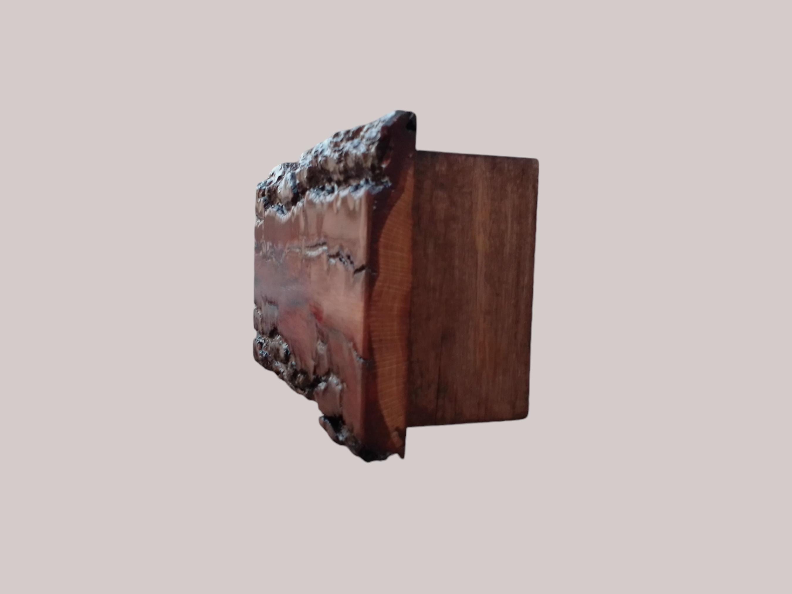 Oak Wall Sconce Live Edge Wood Lamp - Etsy