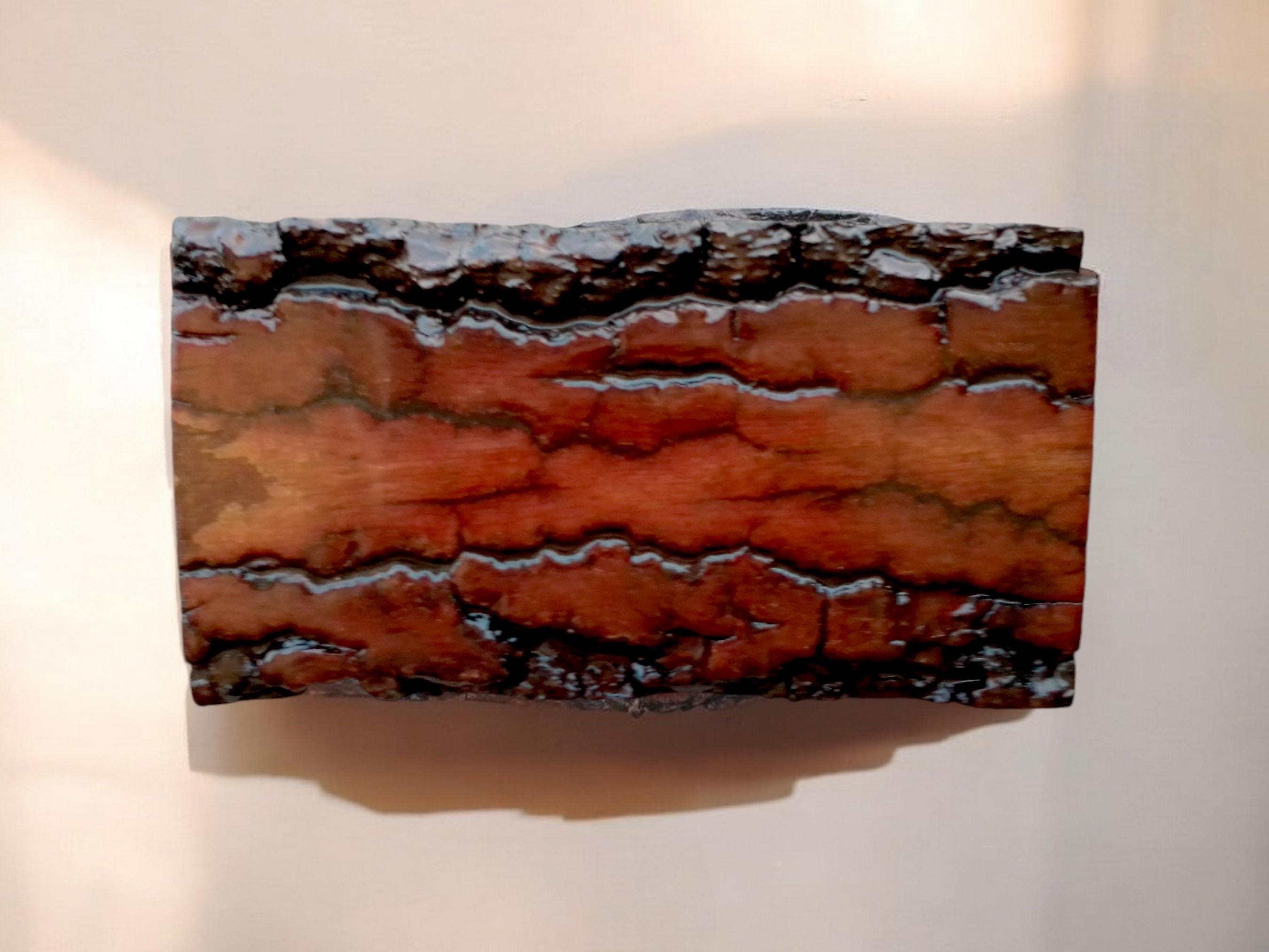 Oak Wall Sconce Live Edge Wood Lamp - Etsy