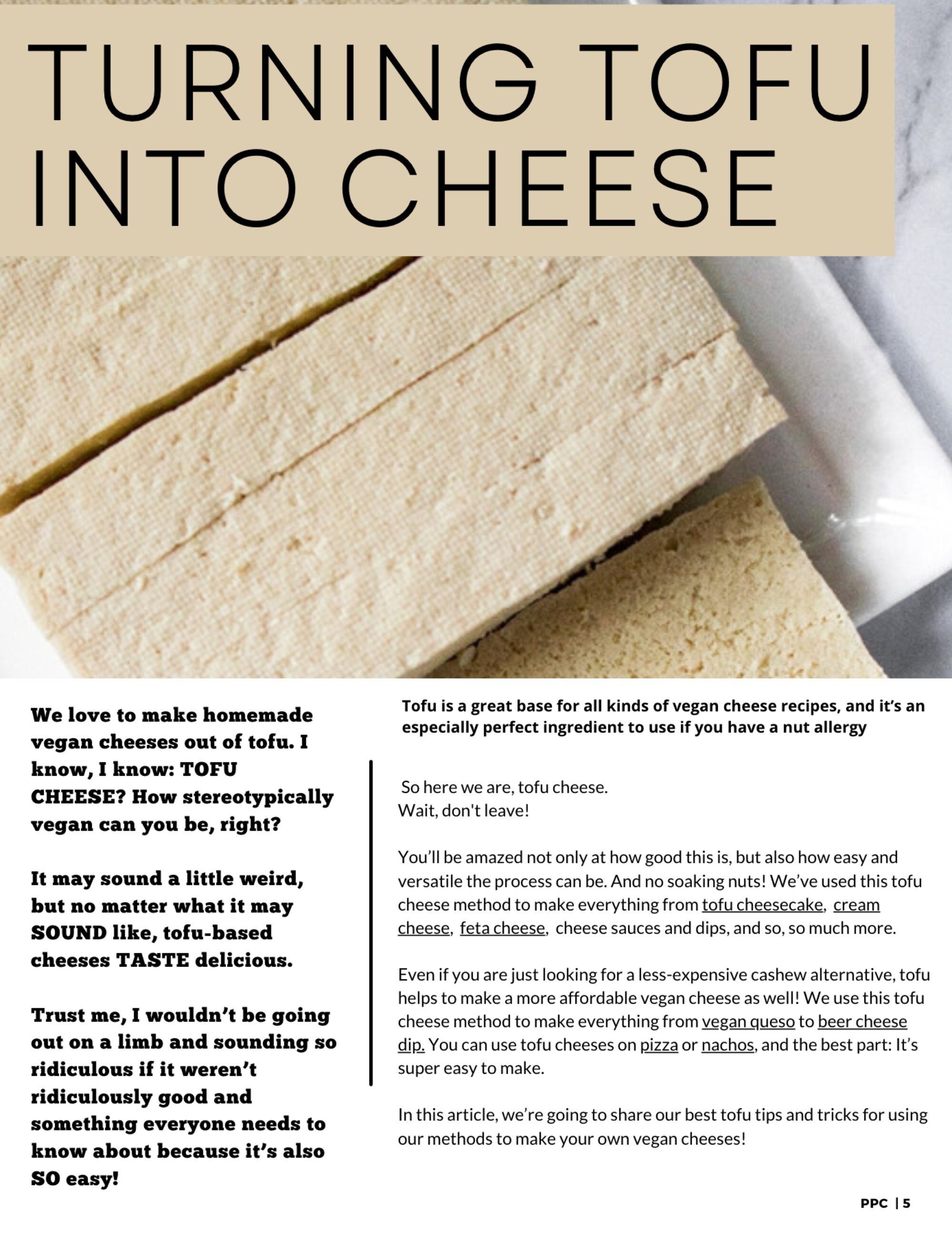 How to Turn Tofu Into Cheese Easy Budget-friendly Vegan Cheese Recipes ...