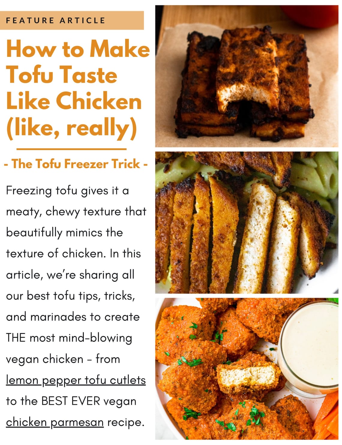 How to Make Tofu Taste Like Chicken - Vegan Tofu Recipes Digital Ebook ...
