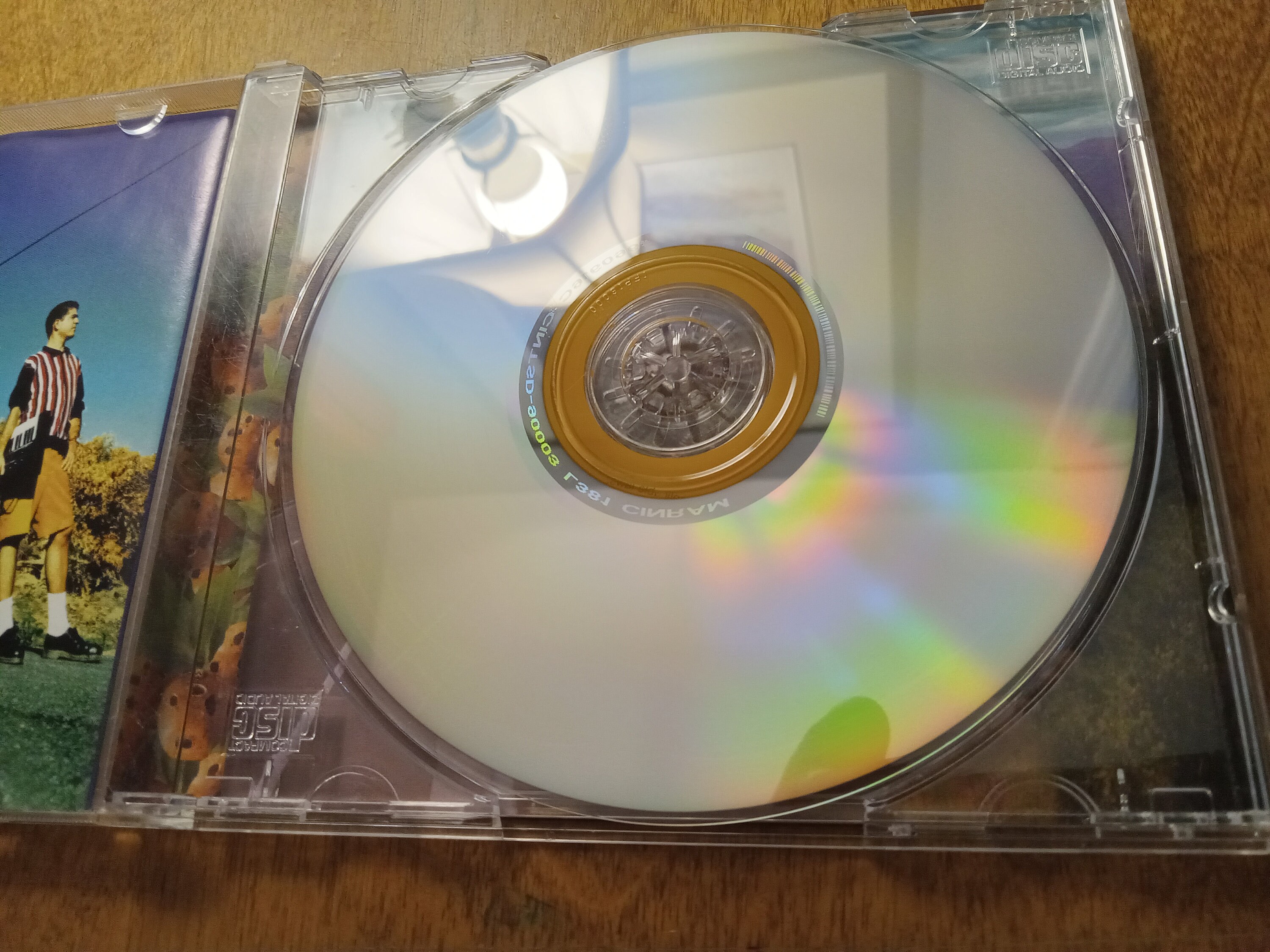 1995 No Doubt Tragic Kingdom Trauma Records Used CD Ska Punk Reggae ...