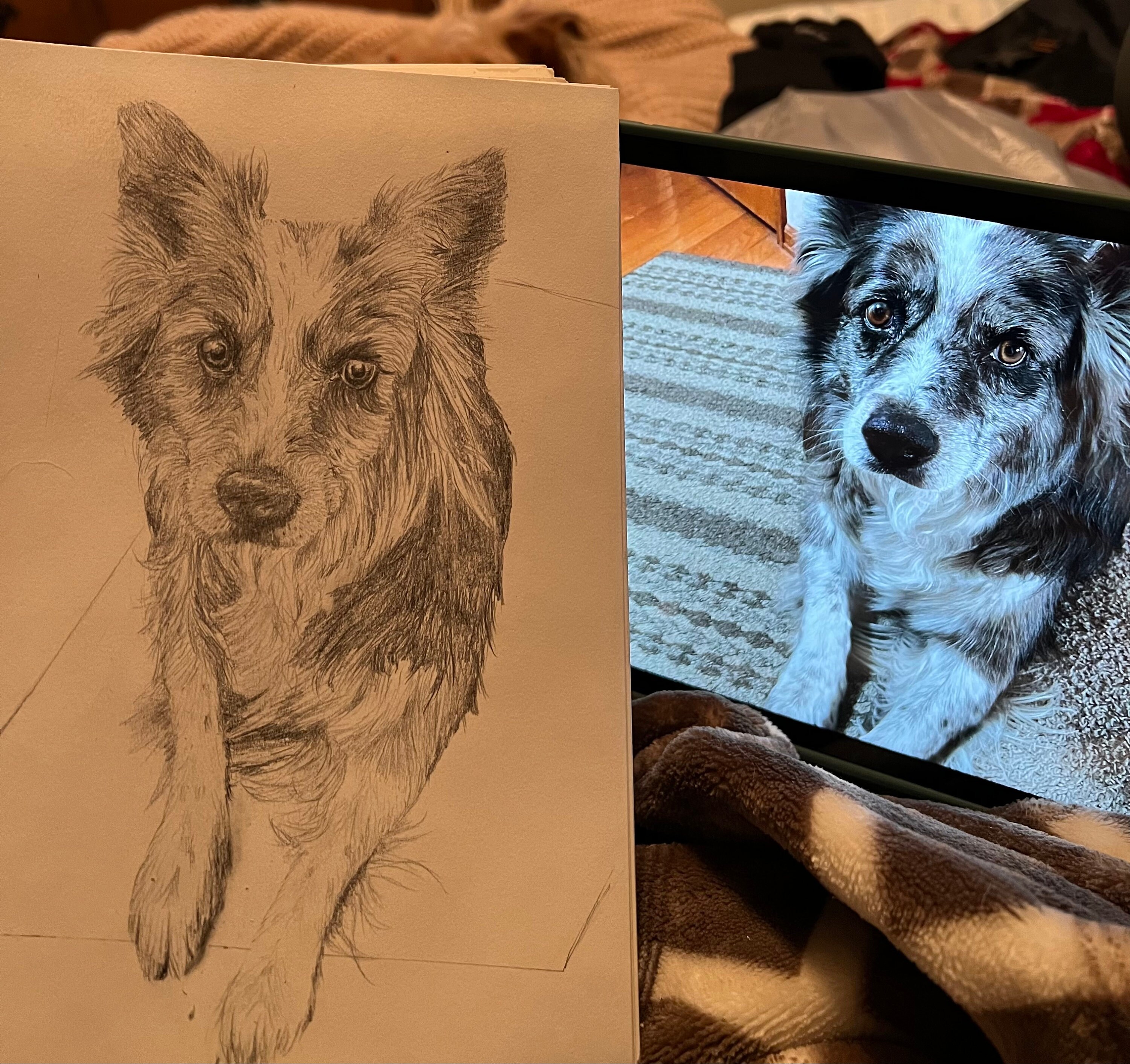 Custom Dog Drawing - Etsy