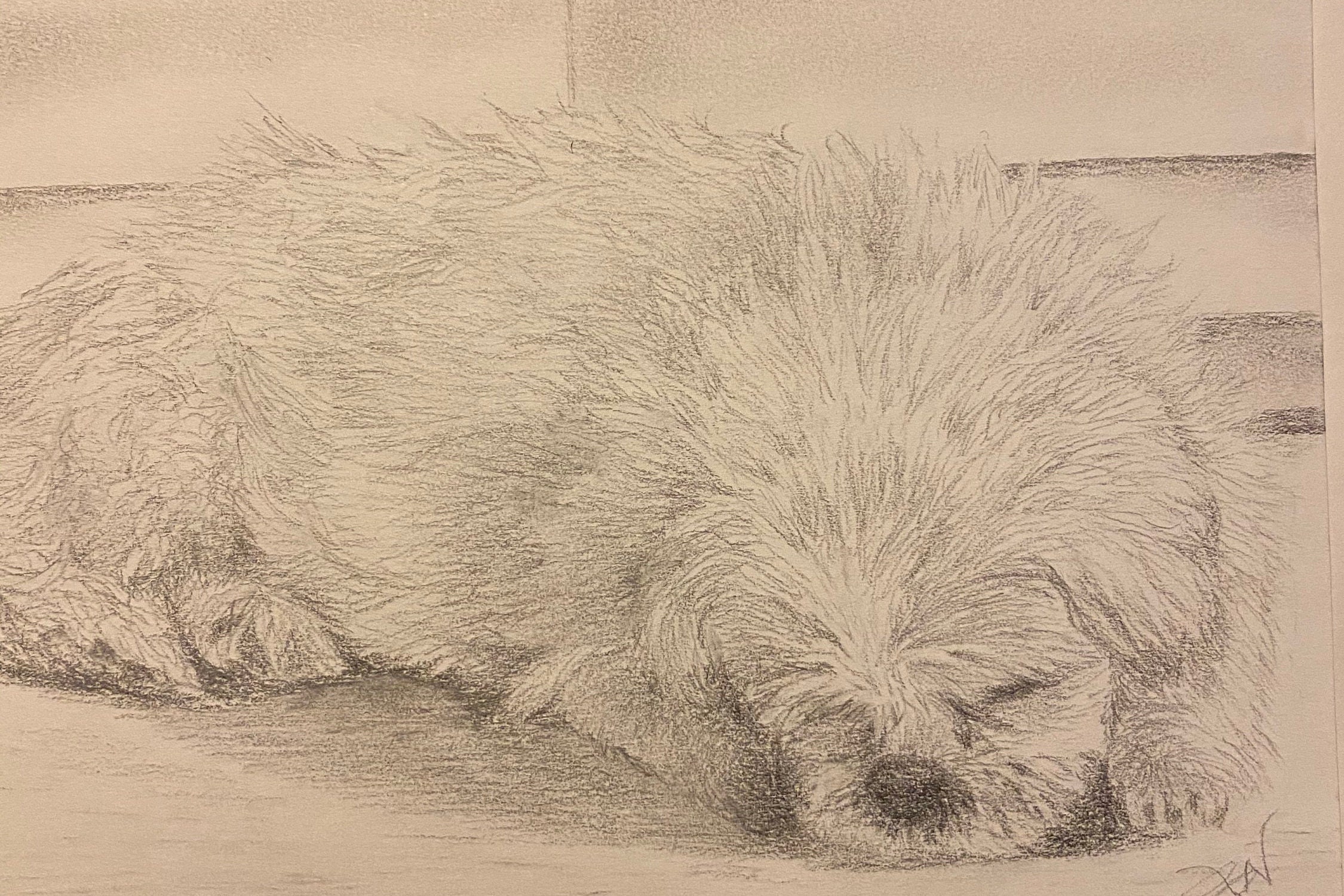 Custom Dog Drawing - Etsy