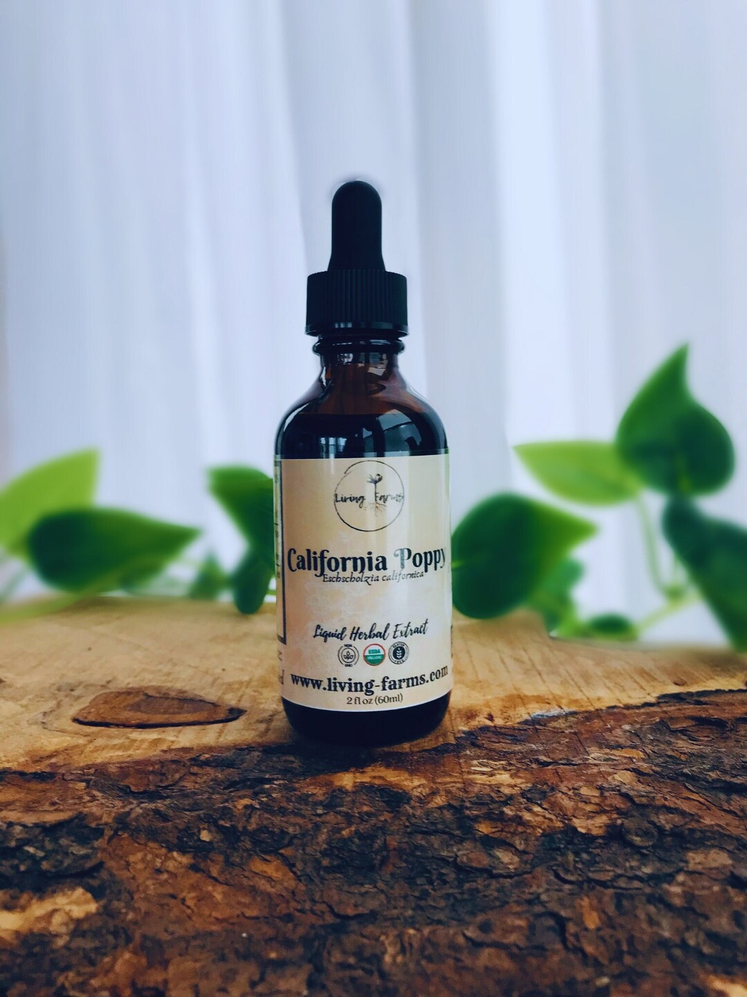 California Poppy Tincture - Etsy