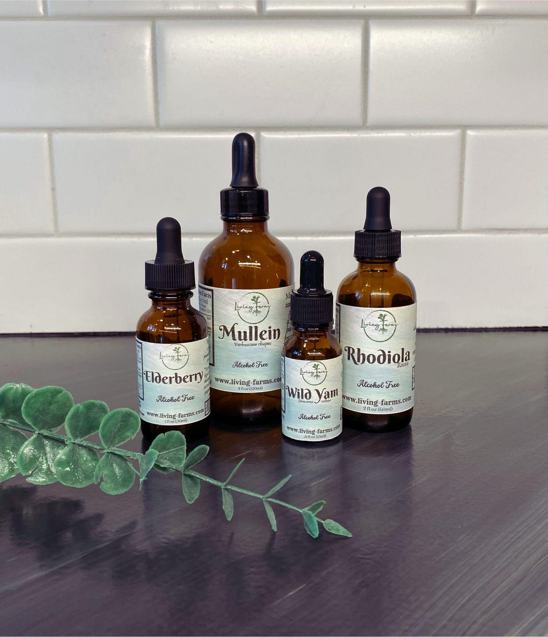 Juniper Berry Alcohol-free Tincture - Etsy