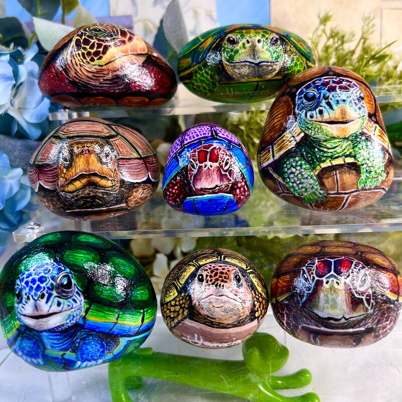 Painted Rock Turtle - Etsy