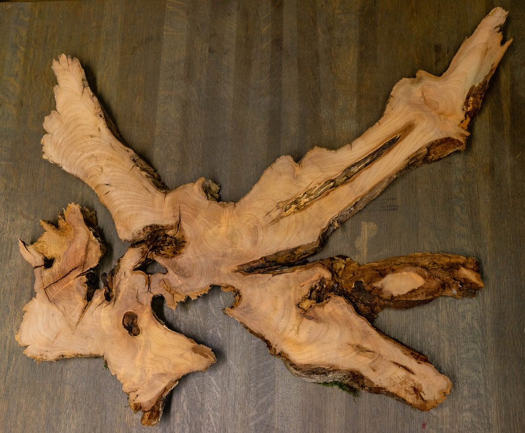 Cherry Wood, Tree Slice, Root Wood, Root Slice, Wild Cherry, Prunus ...