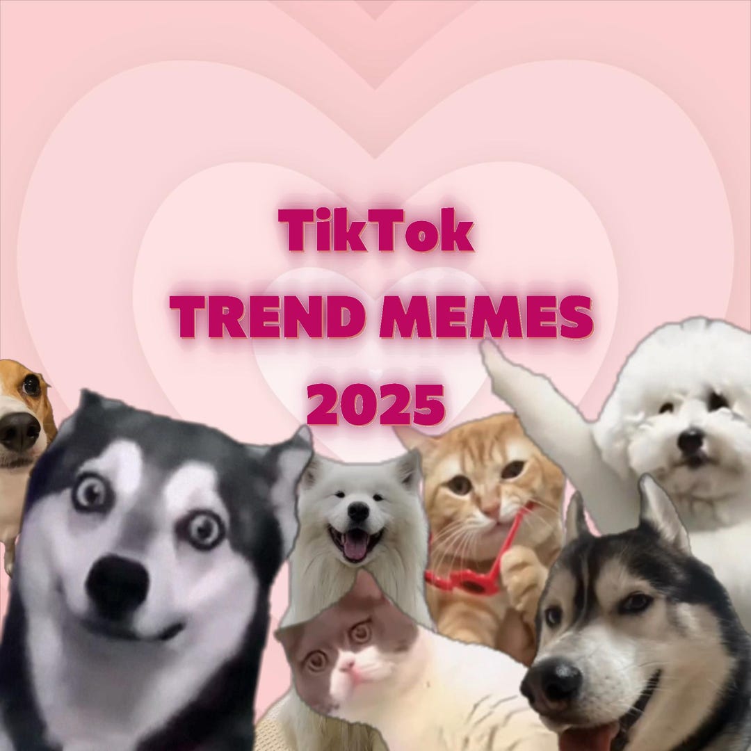 40 Tiktok Trend Memes 2025 to Create Viral Video Transparent and Green ...