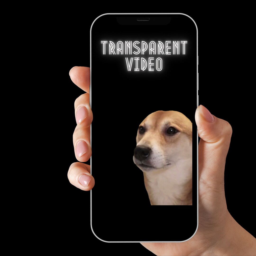 Transparent Background Nodding Dog Popular Video Meme for Create Funny ...