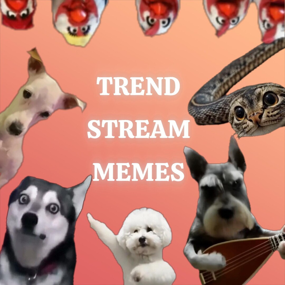 40 memes de transmisión de tendencia 2025 Alertas de transmisión de ...