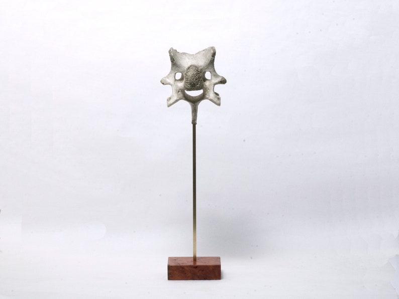 Boney Mcboneface. Happy, Scared Face Sculpture. Found Object Art Bovine ...