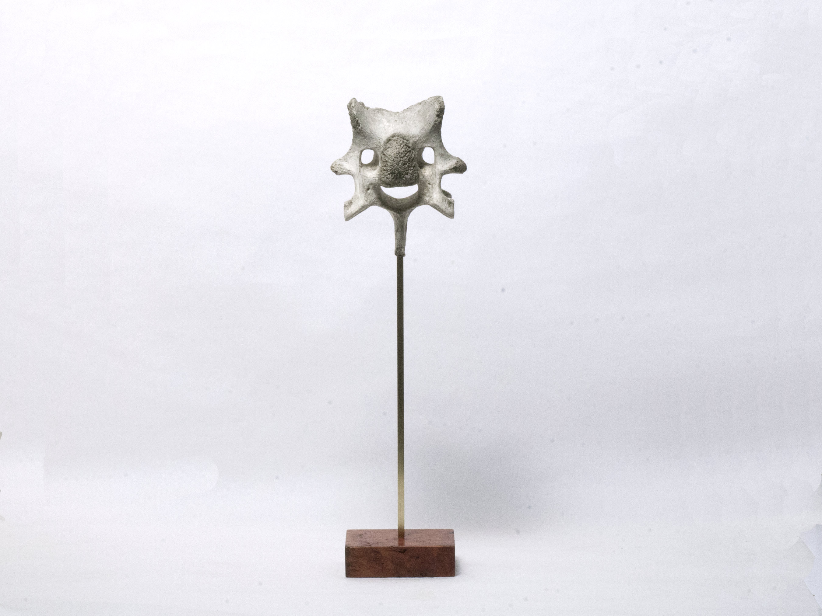 Boney Mcboneface. Happy, Scared Face Sculpture. Found Object Art Bovine ...
