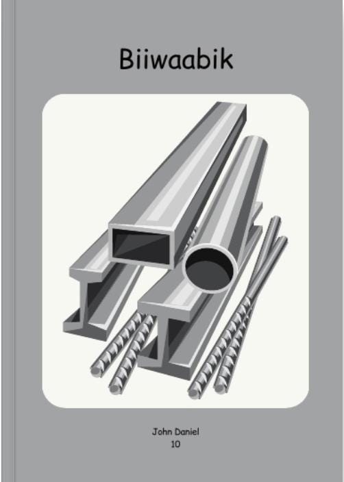 Ojibwe Anishinaabe Language Early Literacy Level 10 Leveled Reader ...