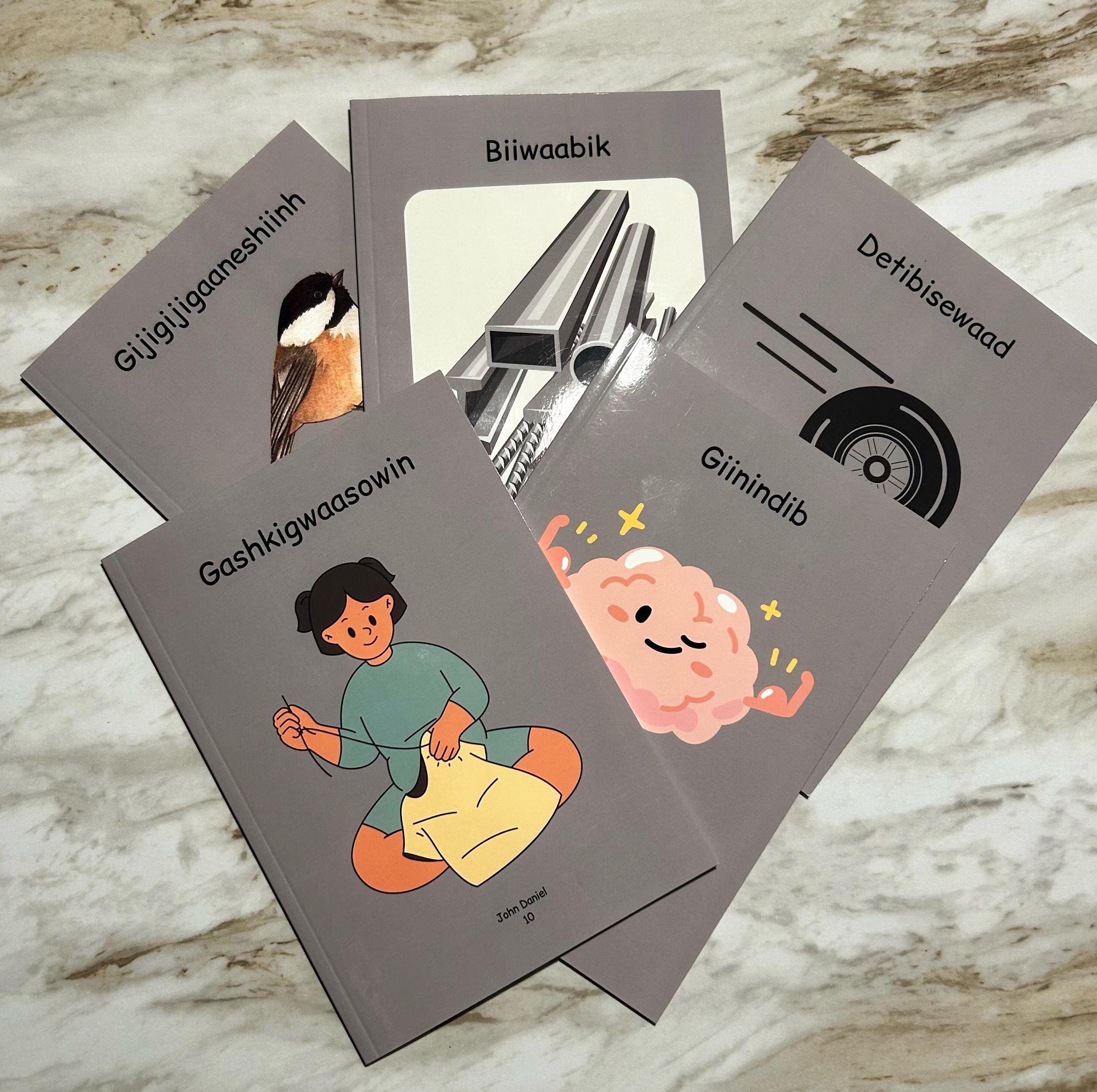 Ojibwe Anishinaabe Language Early Literacy Level 10 Leveled Reader ...