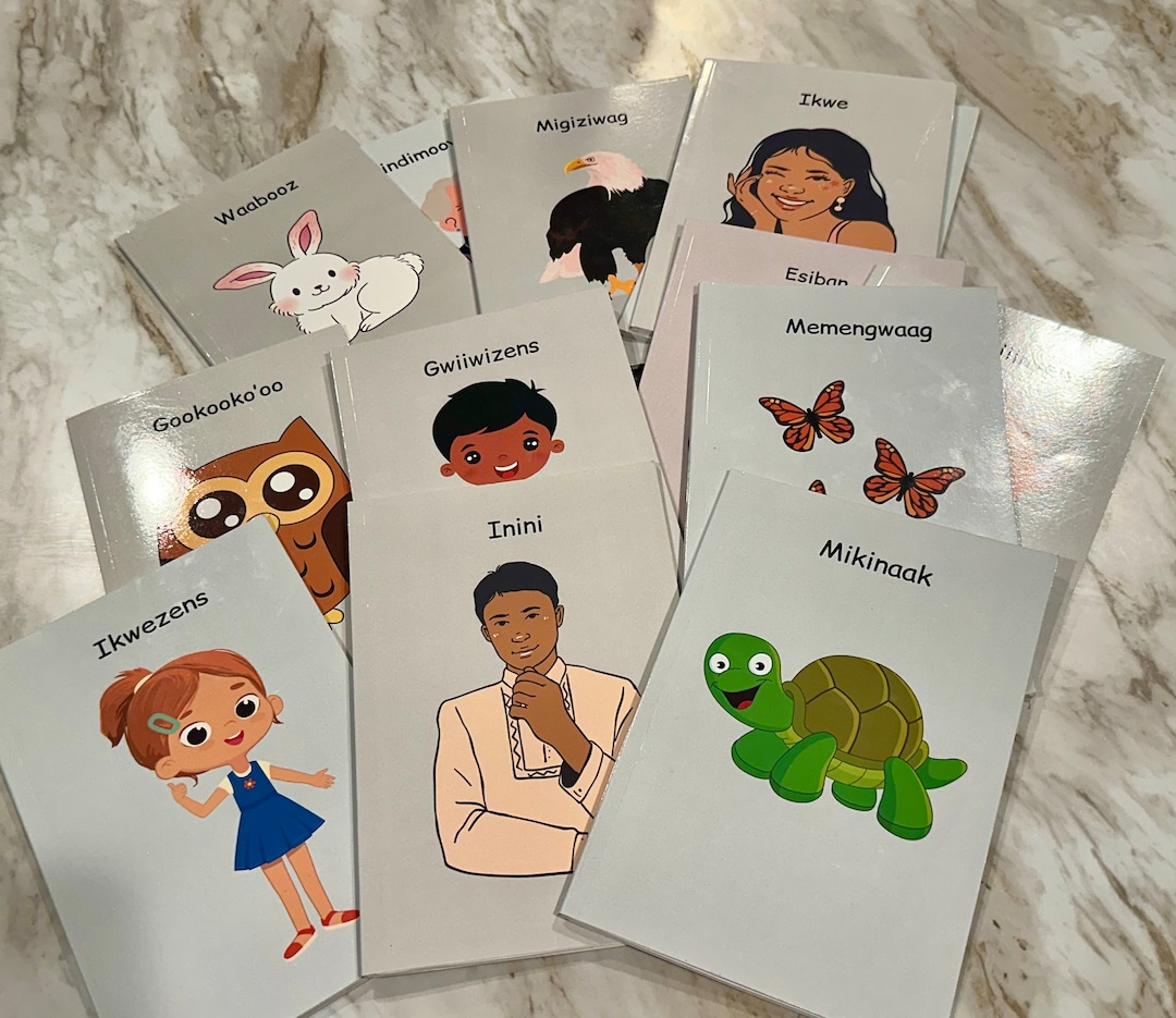 Ojibwe Anishinaabe Language Early Literacy Level 3 Leveled Reader Books ...
