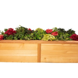 2' X 4' Western Red Cedar Planter Box - Etsy