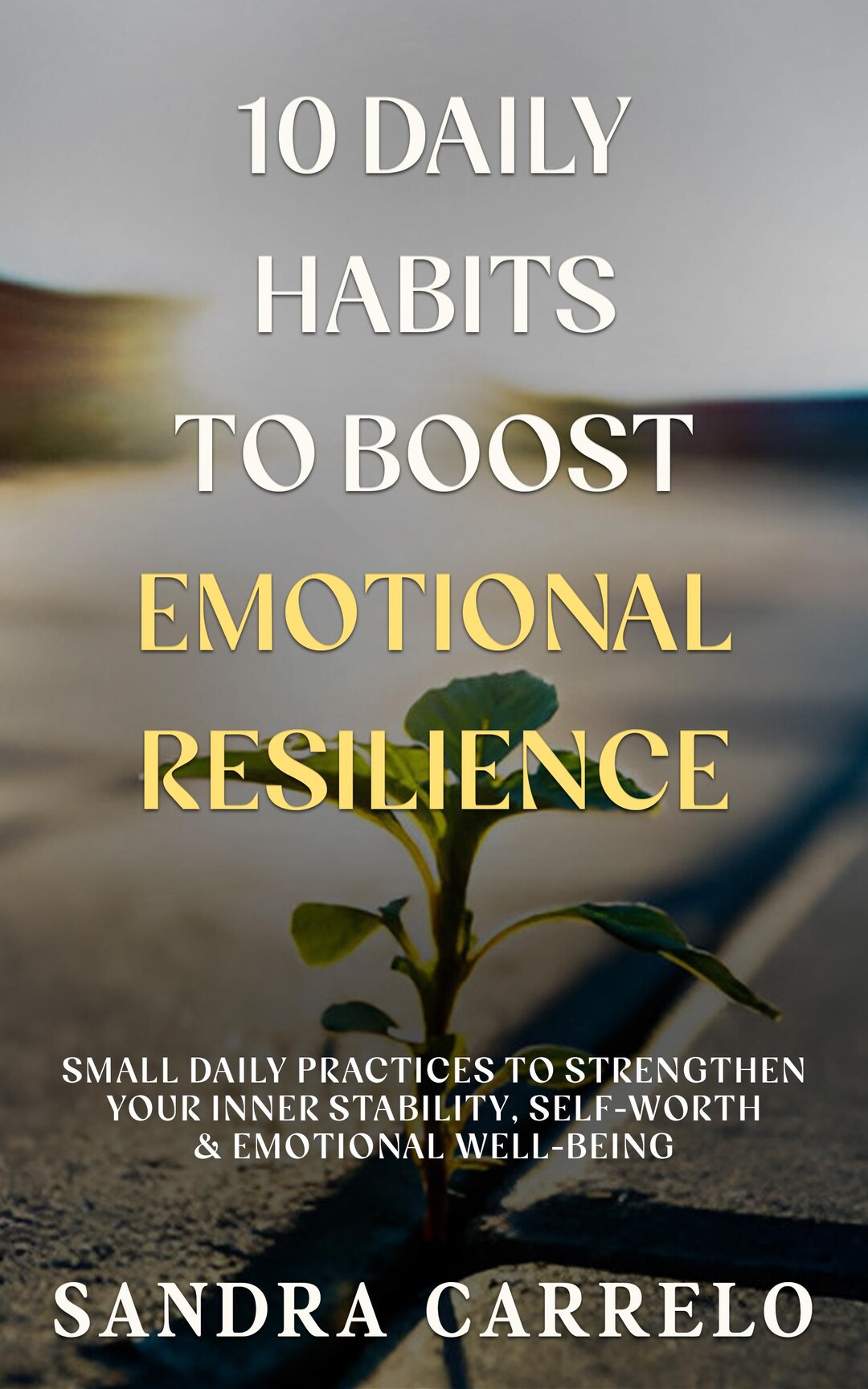 10 Daily Habits to Boost Emotional Resilience - Etsy