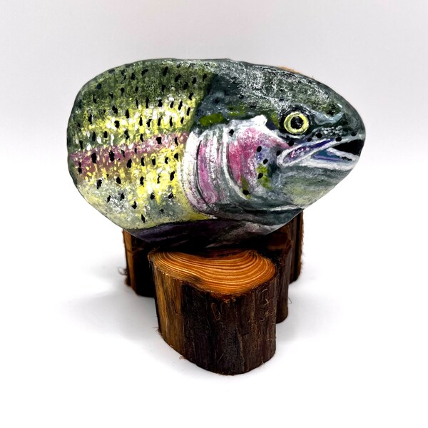 Rainbow Painted Rock - Etsy