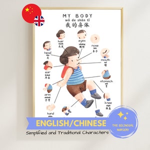 My Body ENGLISH CHINESE Bilingual Poster Simplified and Traditional ...