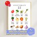 VEGETABLES CHINESE/ENGLISH Instant Download Educational Poster ...
