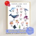 Shapes ENGLISH/CHINESE Bilingual Poster Instant Download Montessori ...